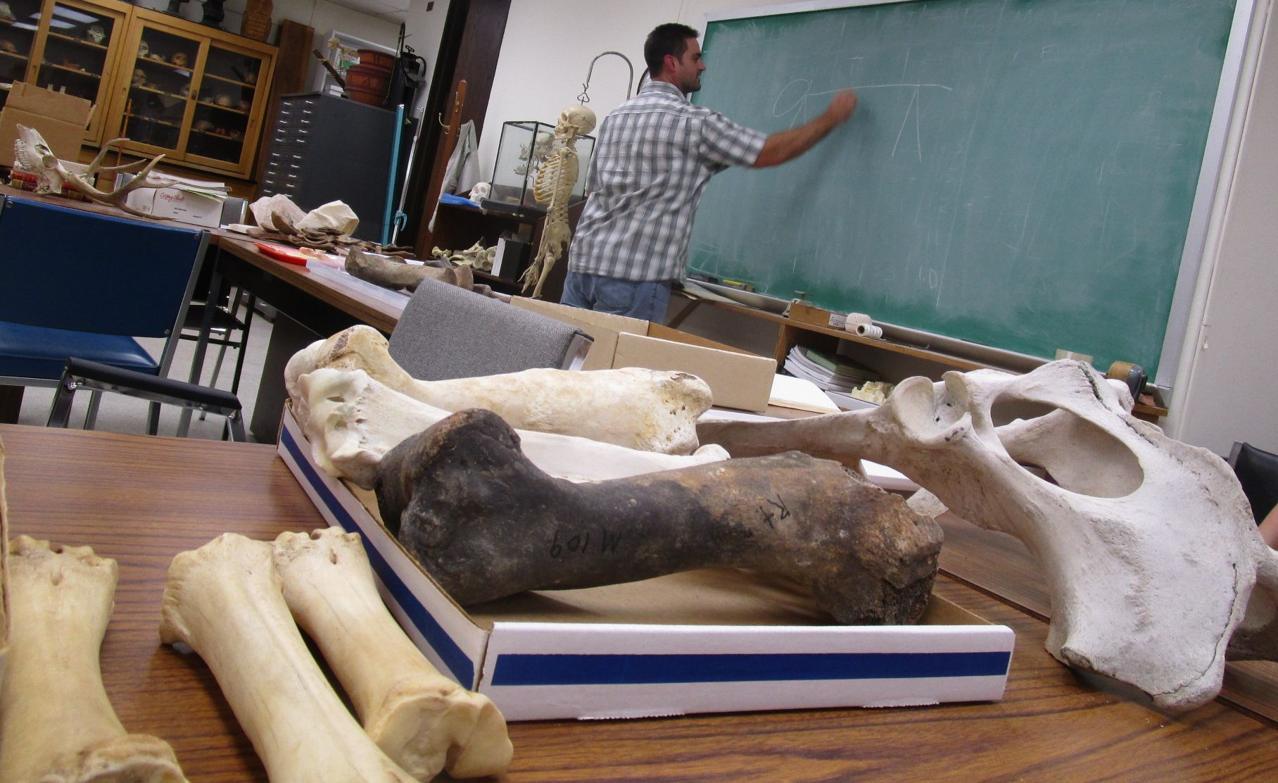 Houston Archeological Society